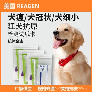 宠物试纸犬细小CPV犬瘟CDV犬冠状CCV犬腺CAV狂犬早早孕流感测试卡-阿里巴巴