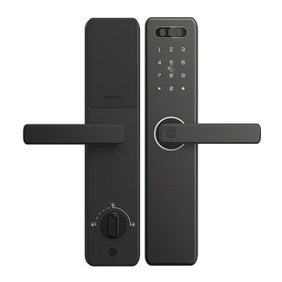 Room wooden door password fingerprint intelligent lock-阿里巴巴