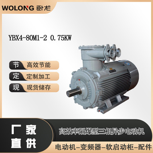 YBX4-80M1-2 0.75KW 高效率隔爆型三相异步电动机B3、B5、B35、V1-阿里巴巴