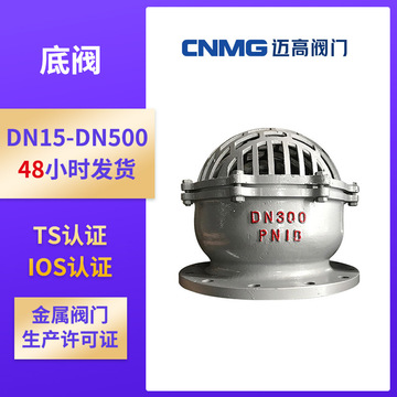 底阀 铸钢法兰底阀 H42H-10C 水泵底阀 不锈钢底阀 丝扣底阀-阿里巴巴