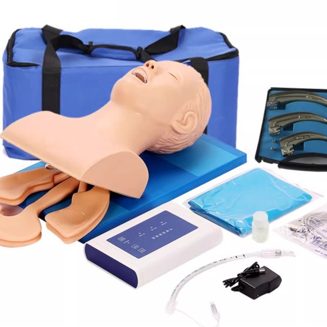 Adult Digital Human Tracheal Intubation Training Model with Tooth ...