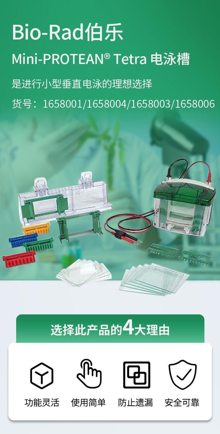 Bio-Rad伯乐蛋白垂直电泳仪带槽 Mini-PROTEAN Tetra 1658001-阿里巴巴