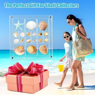 Acrylic Magnetic Seashell Display Box 贝壳收纳盒装饰盒-阿里巴巴