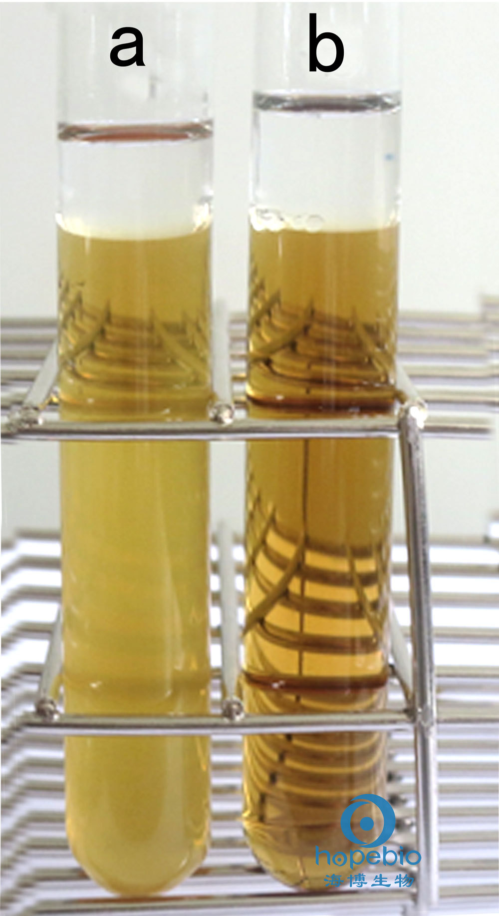 厌氧肉肝汤培养基 Anaerobic HB8779 250g 青岛海博生物-阿里巴巴