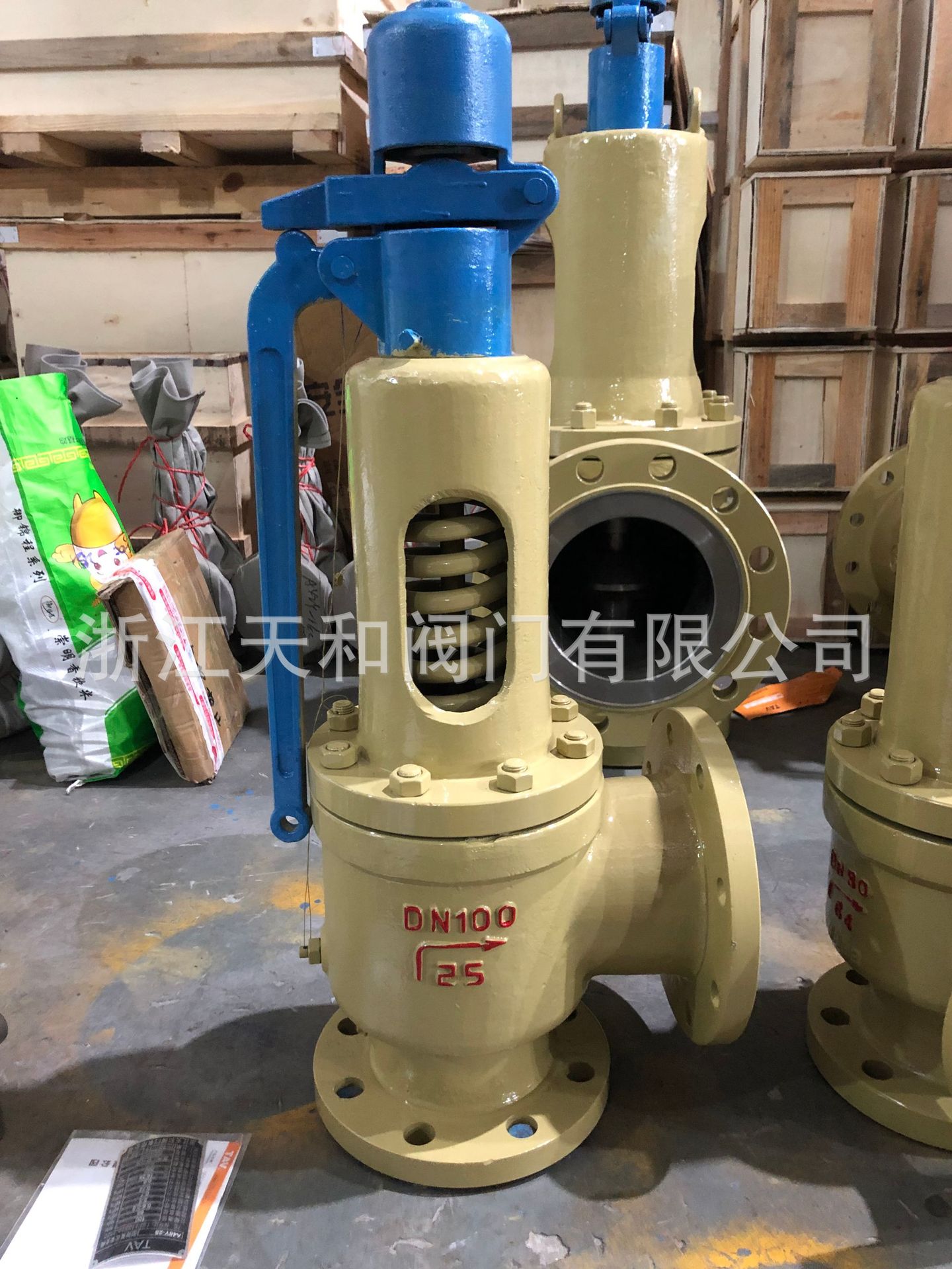 安全阀A48Y-25C 型弹簧全启式安全阀 厂家直销 天和、罗浮、永一-阿里巴巴