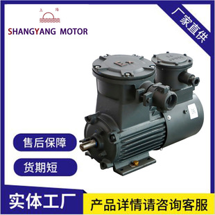 防爆变频电动机YBBP-100L-4-2.2KW江苏上阳电机质量可靠性价比高-阿里巴巴