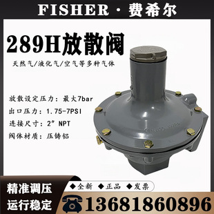 美国FISHER费希尔 289H燃气安全放散阀原装进口天然气289放散调压-阿里巴巴