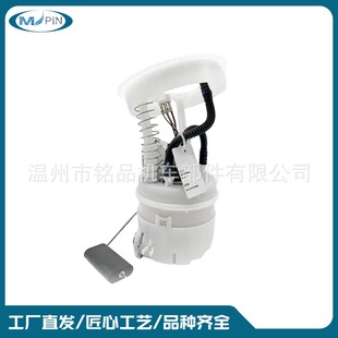 16112765806 09750569900 16112754806 16119810569 燃油泵总成-阿里巴巴