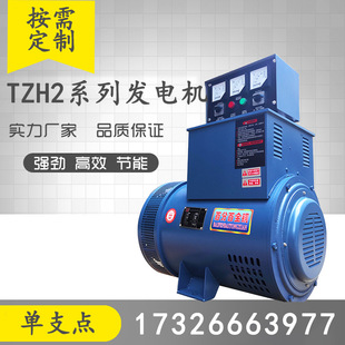 TZH2系列发电机单支点潍坊小型应急发电机大功率柴油发电机组-阿里巴巴