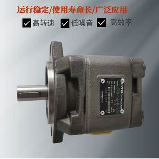 海特克HYTEK节能伺服内啮合齿轮泵HG1-40-01R-VPC HG1-63-01R-VSC-阿里巴巴