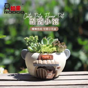 ROOGO如果创意小动物多肉树脂花盆家居园艺庭院景观绿植盆栽摆件-阿里巴巴