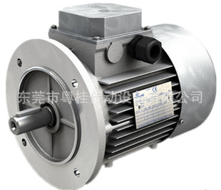 意大利MOTOVARIO摩多利电机 摩多利刹车马达T63B4/0.18KW-阿里巴巴