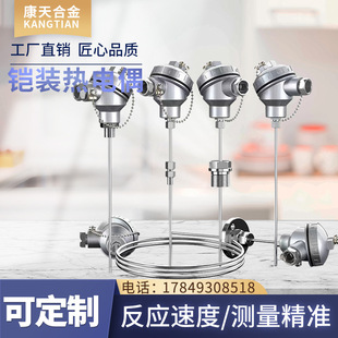 K型铠装高温热电偶WRNK-131WZPK-231铂热电阻PT100探针温度传感器-阿里巴巴