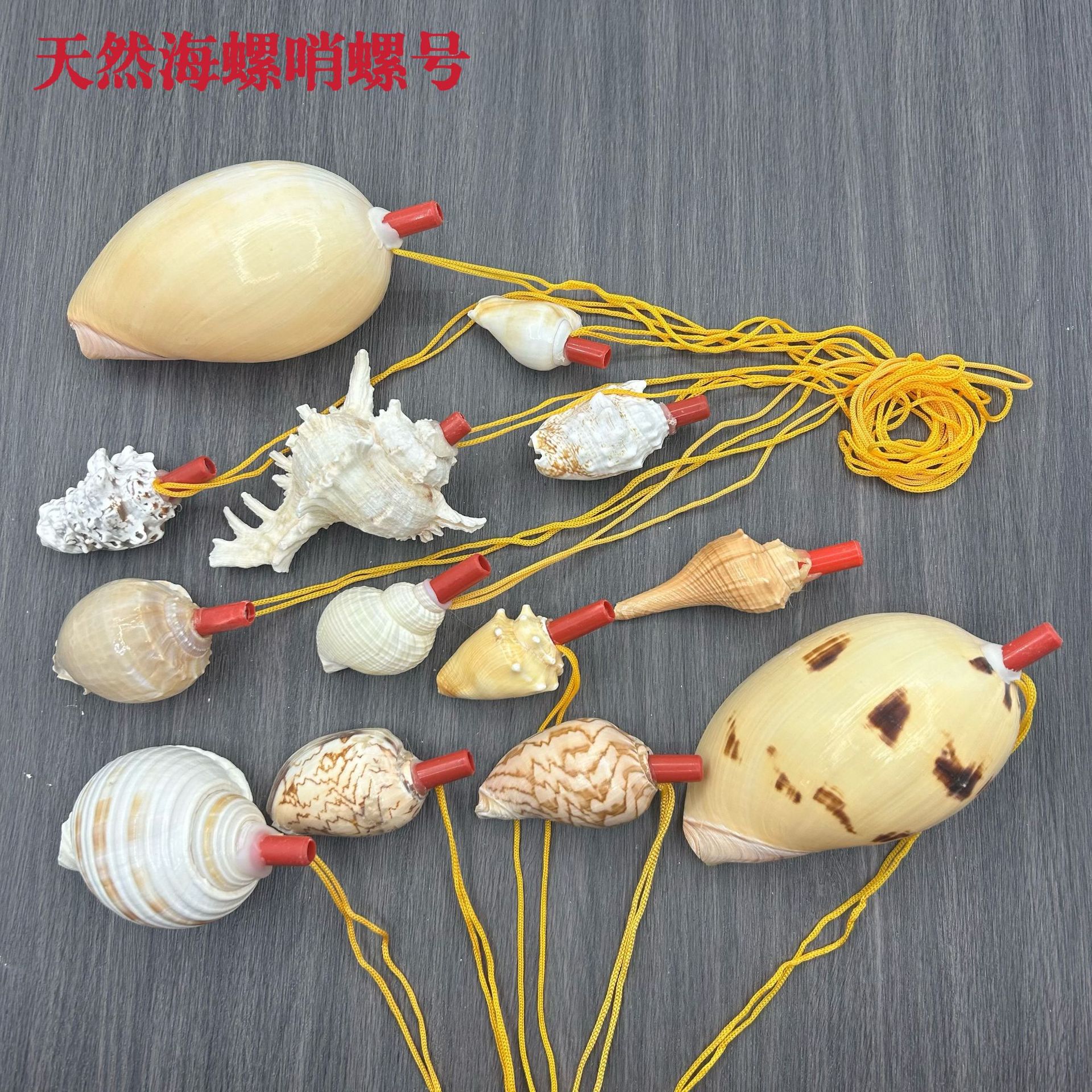 Natural conch whistle conch shell crafts tourist attractions gift stall ...