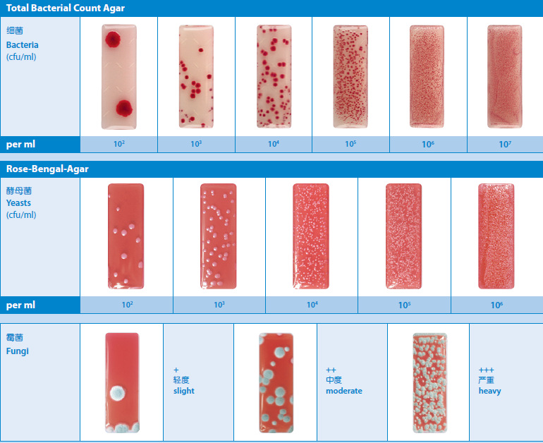 （停产勿拍）mikrocount combi德国舒美细菌测试板,舒美测菌片-阿里巴巴
