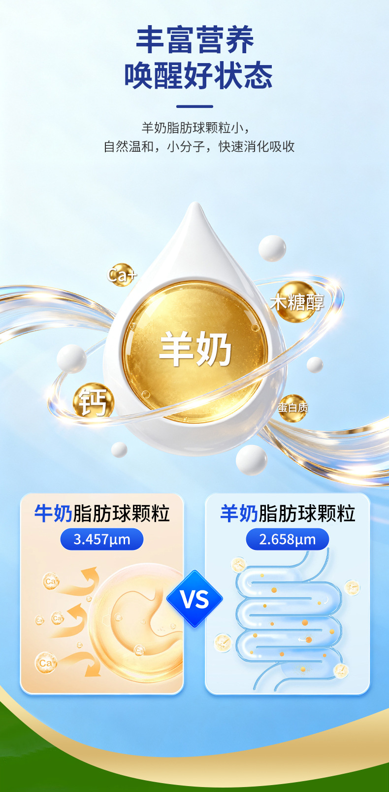 源头厂家羊奶猴头酥猴头菇饼干厂家批发羊奶制品休闲饼干小零食-阿里巴巴