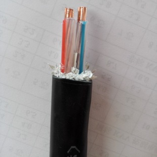 亚强电线电缆厂家 YJV2*10平方铜芯电缆线 电力电缆 架空电源线-阿里巴巴