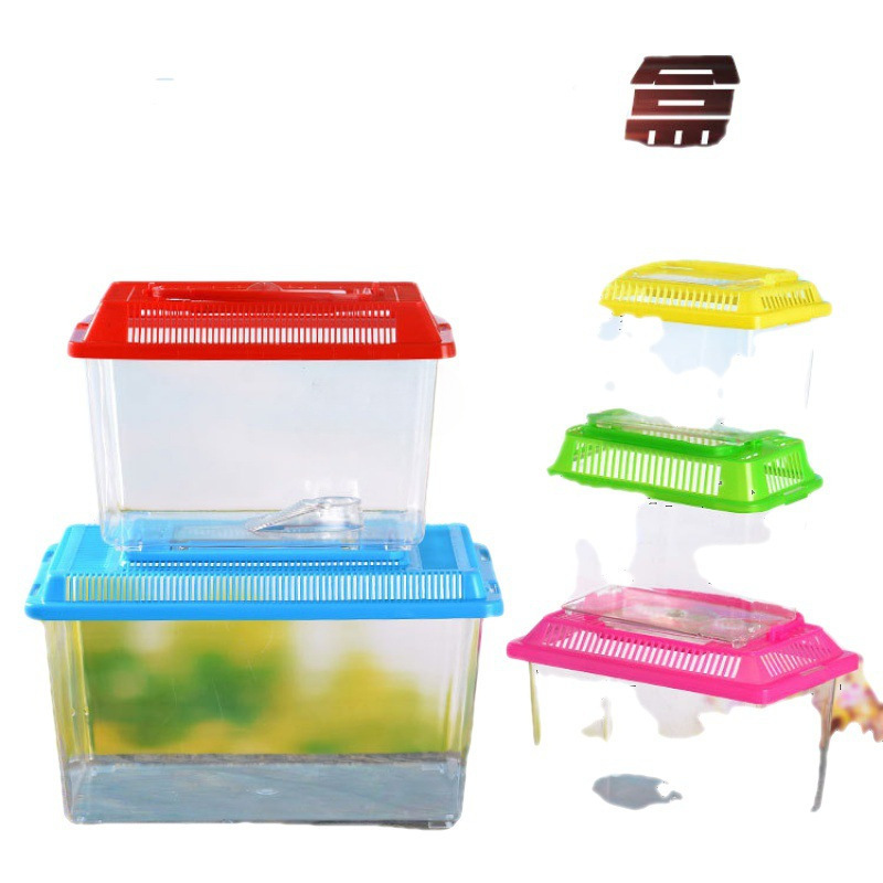 Installed small turtle boxes, stalls, stalls, transparent golden fish ...