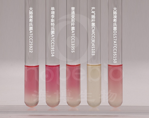 MR-VP培养基 Methyl Red Voges Proskauer Broth HB0113 250g-阿里巴巴