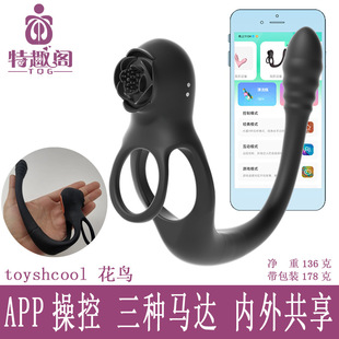 toyshcool三马达花鸟后庭锁精环APP款男女共享夫妻震动自慰器情趣-阿里巴巴