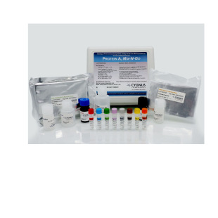 Cygnus F610用于非天然蛋白A构建体的蛋白 A 混合™ELISA 试剂盒-阿里巴巴