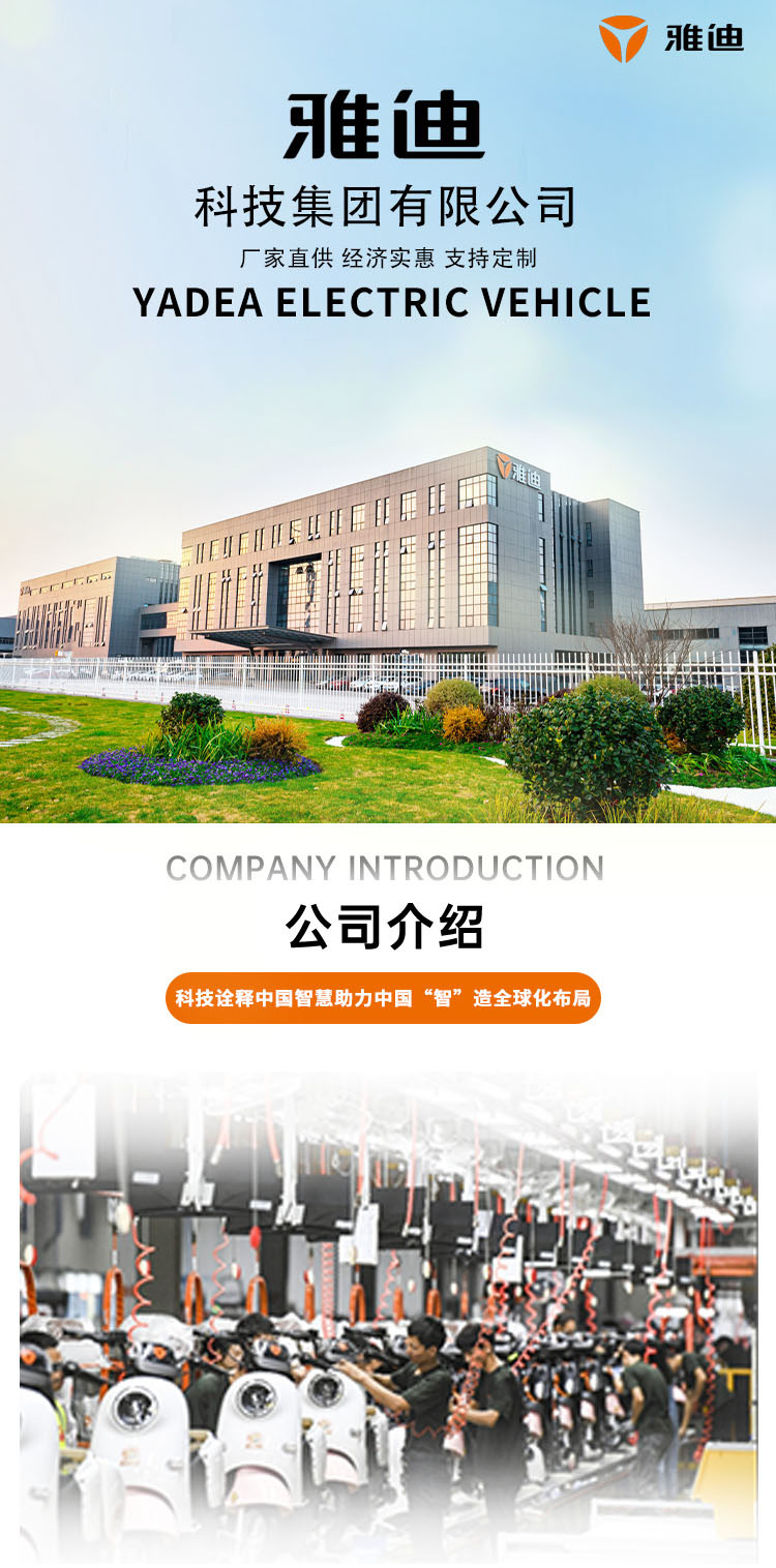 雅迪M10-D-豪华版电动自行车电动车长续航两轮电动摩托车电瓶车-阿里巴巴