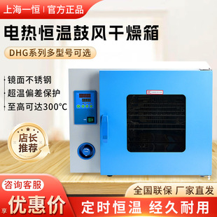 上海一恒鼓风干燥箱 DHG系列 实验室工业烘箱 电热恒温鼓风干燥箱-阿里巴巴