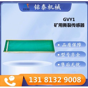 天津华宁GVY1矿用本质安全型撕裂传感器井下主控通用款配件-阿里巴巴