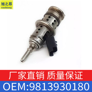 适用于标致208/308/2008催化液喷射器喷油器/喷油嘴OE 9813930180-阿里巴巴