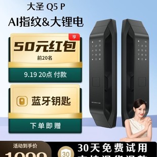 德施曼智能门锁全自动指纹锁家用防盗门密码锁智能锁大圣Q5P-阿里巴巴