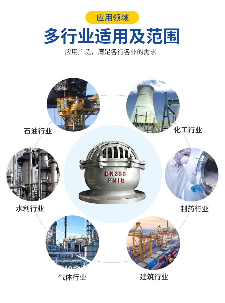 底阀 铸钢法兰底阀 H42H-10C 水泵底阀 不锈钢底阀 丝扣底阀-阿里巴巴