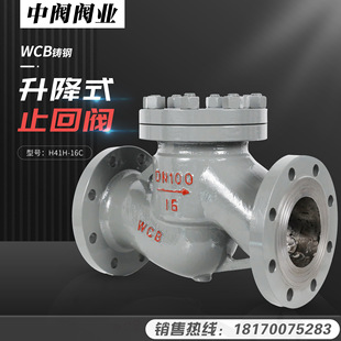 铸钢法兰升降式止回阀H41H-16C逆向阀升降止逆阀DN50 DN100-阿里巴巴
