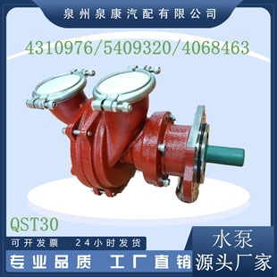 适用于康明斯QST30发动机配件水泵4310976 5409320 4068463-阿里巴巴