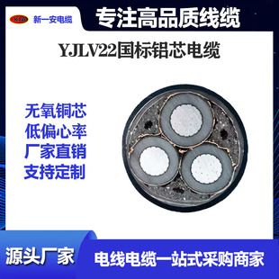 国标ZC-YJLV22防火阻燃铠装铝芯架空电力电缆 地埋工程电缆线-阿里巴巴