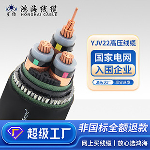 YJV22电缆国标纯铜ZR-YJV铠装1芯 3芯26/35kv高压工程电力电缆线-阿里巴巴