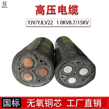 高压电缆国标铜芯YJV22/YJLV22铝芯10kv/35kv钢带铠装铜芯铝芯线-阿里巴巴