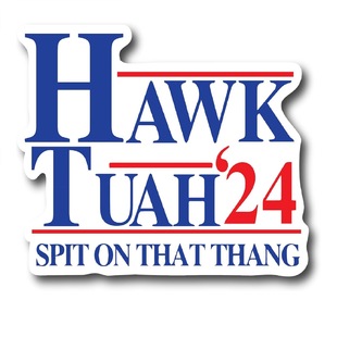 HAWK TUAN '24 SPIT ON THAT THAN,2款贴纸-阿里巴巴