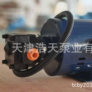 齿轮泵TDYH 柴油 机油 润滑油 稠油 沥青 胶水 树脂 燃油齿轮泵-阿里巴巴
