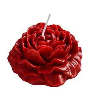 ROSELEX劳乐斯牡丹低温蜡烛滴蜡爱爱玩具滴蜡前戏刺激情爱爱性用-阿里巴巴