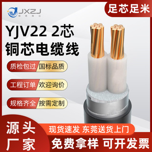 国标纯铜芯YJV22 2芯线缆25 35平方带铠装铜线低压电缆线电力电线-阿里巴巴