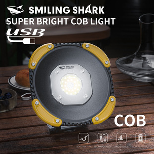 Multifunctional outdoor electric display work light with hoo-阿里巴巴