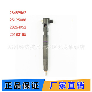 全新 28489562 25195088 28264952 25183185 德尔福共轨喷油器-阿里巴巴