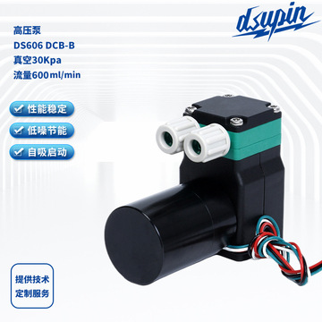 高压泵直流微型水泵DS606 DCB-B高压雾化水泵光伏设备水膜泵批发-阿里巴巴