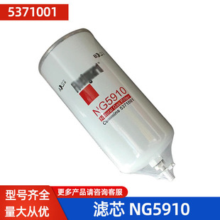 NG5910滤芯5371001滤清器适用康明斯柴油发动机滤芯挖掘机-阿里巴巴