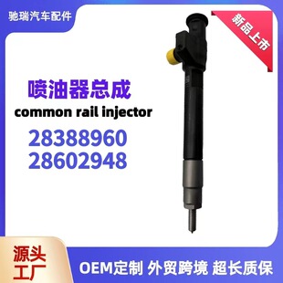 28388960德尔福喷油器总成28388960喷油器28602948喷油嘴FORD油嘴-阿里巴巴