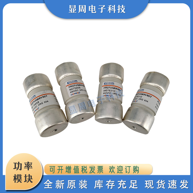 全新保险丝熔断器FR10GR69V4 V5 V6/W1014572 X1014573 Y1014574-阿里巴巴
