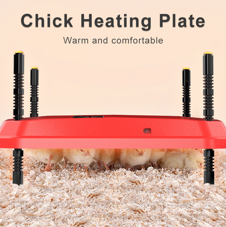 Supply Customized Chicken Heating Plate Brood Warmer Chicken Duck Goose ...