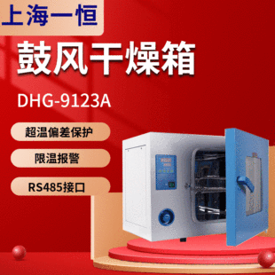 上海一恒DHG-9123A电热鼓风干燥箱实验室干燥箱恒温干燥箱-阿里巴巴