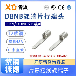 XD霄渡DBN/DBNB5平方系列无绝缘护套片形端子/T2紫铜冷压 铜鼻子-阿里巴巴
