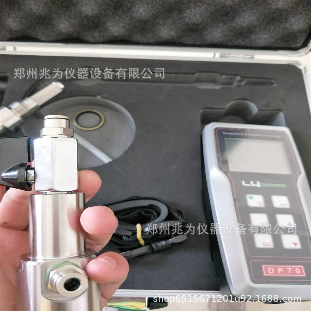 瑞士罗卓尼克DP70手持式露点仪 DP70露点仪-阿里巴巴